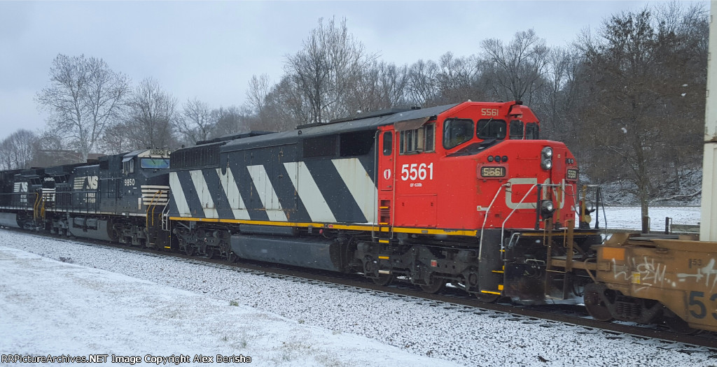 CN 5561